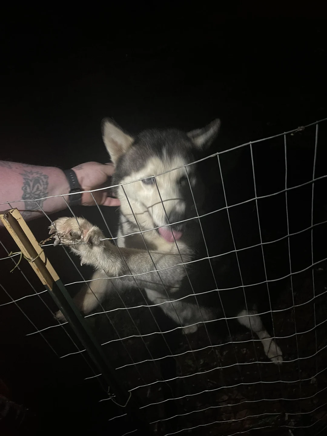 Heartbroken | Scrolller