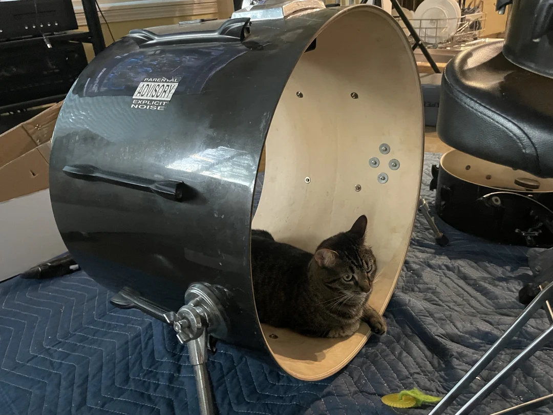 Unconventional trap, but very successful | Scrolller