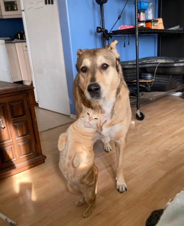 Photo bomb!!!!! | Scrolller