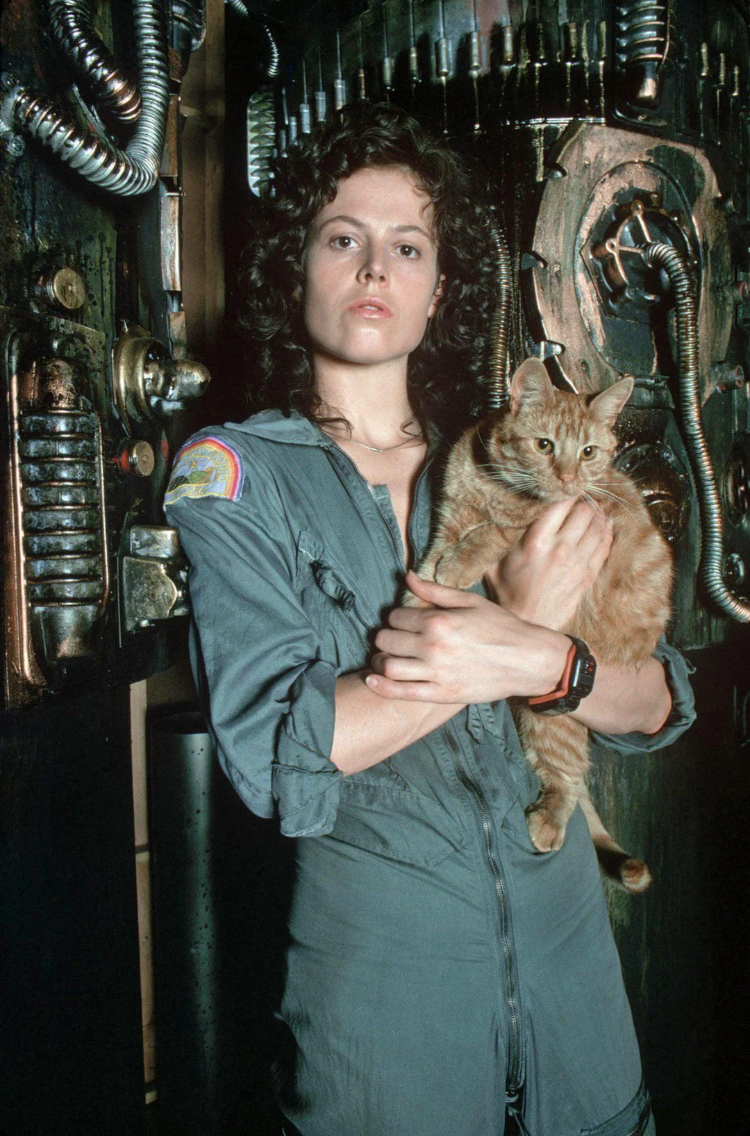 Sigourney Weaver and Jonesy on the set of 'Alien' in 1979 | Scrolller
