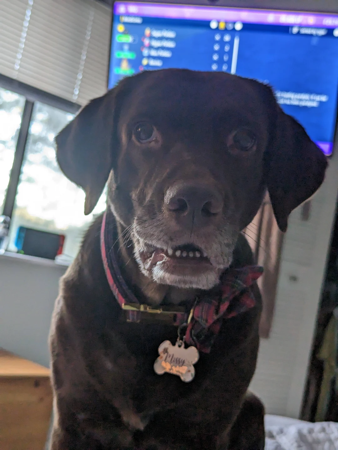 I asked if she wanted to go outside | Scrolller