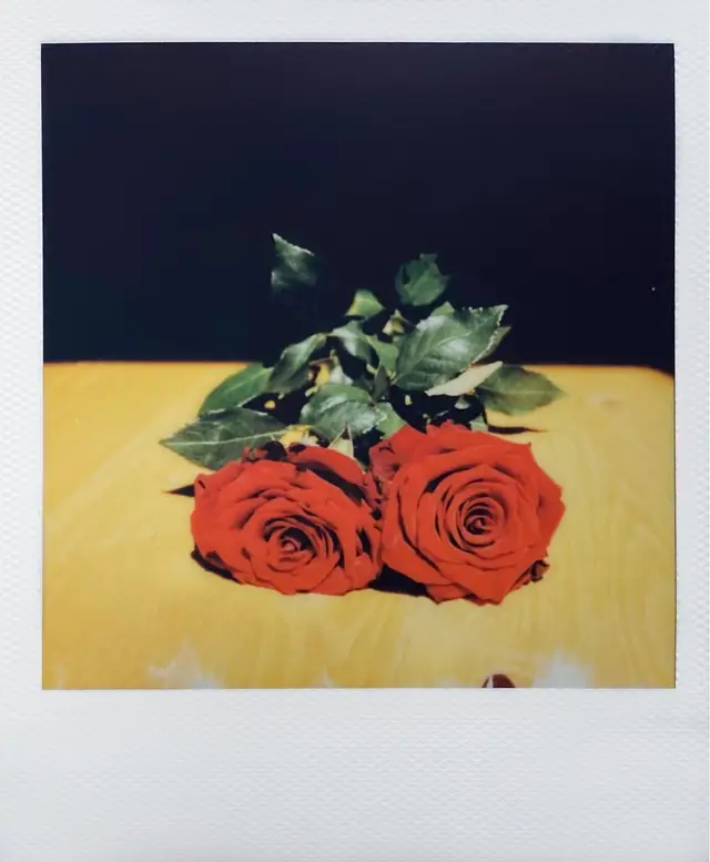 Converted SX-70 (600-film) | Scrolller