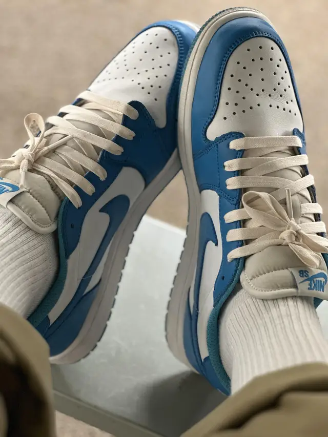 Nike SB X Jordan 1 | Scrolller