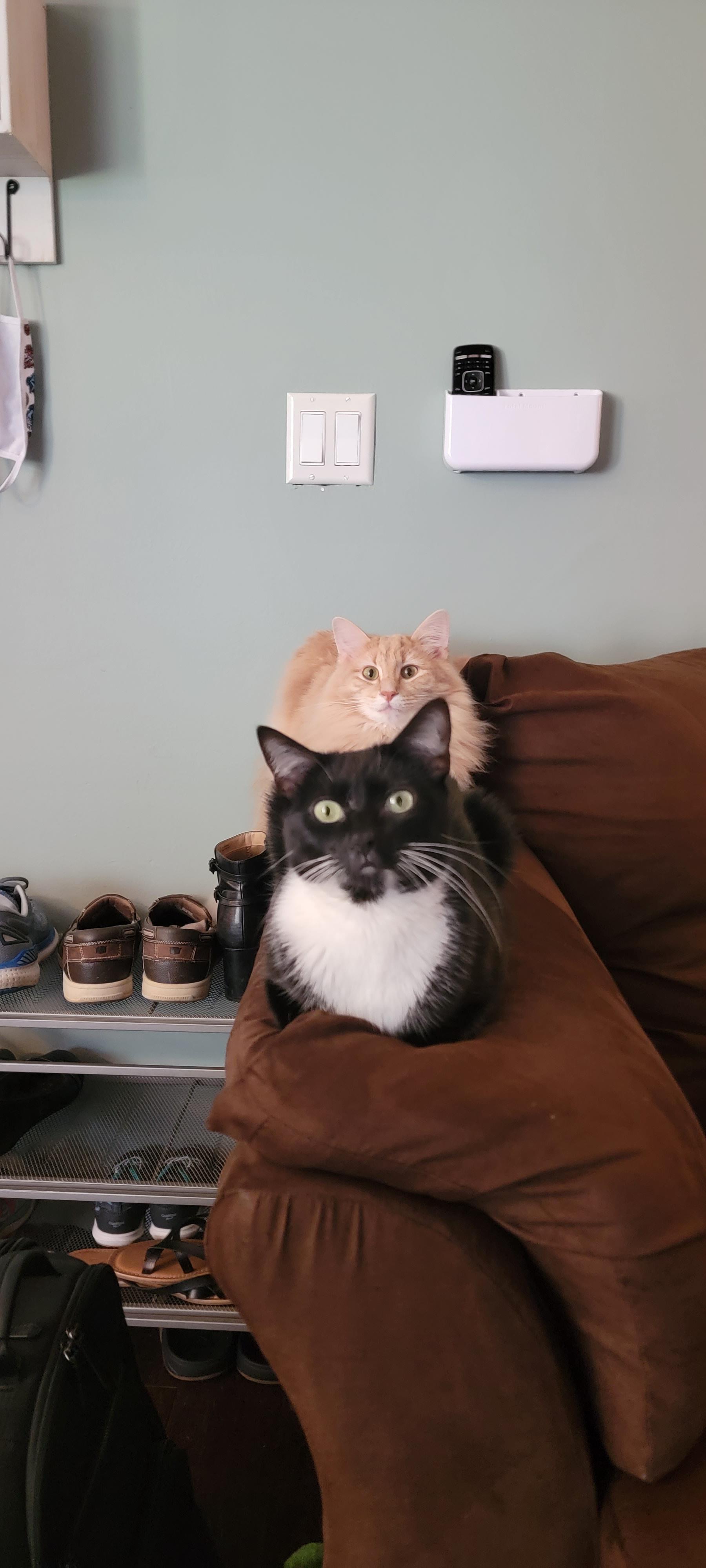 All aboard the monorail! | Scrolller