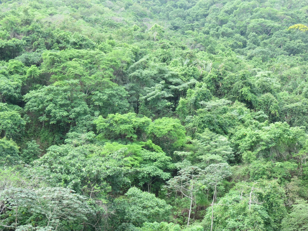 Puerto Vallarta, Mexico [OC][2816×2112] | Scrolller