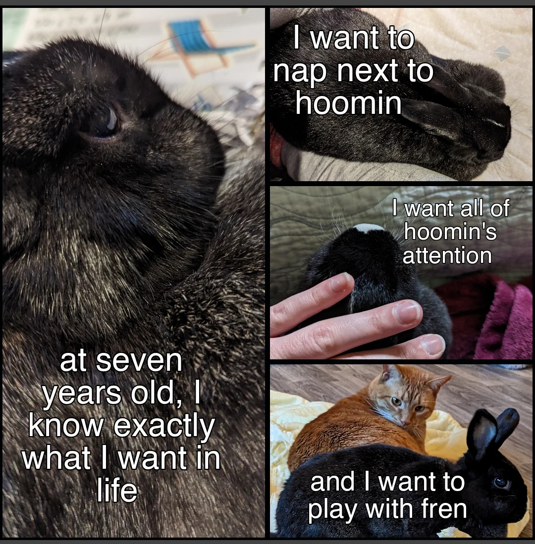 Aging gracefully | Scrolller