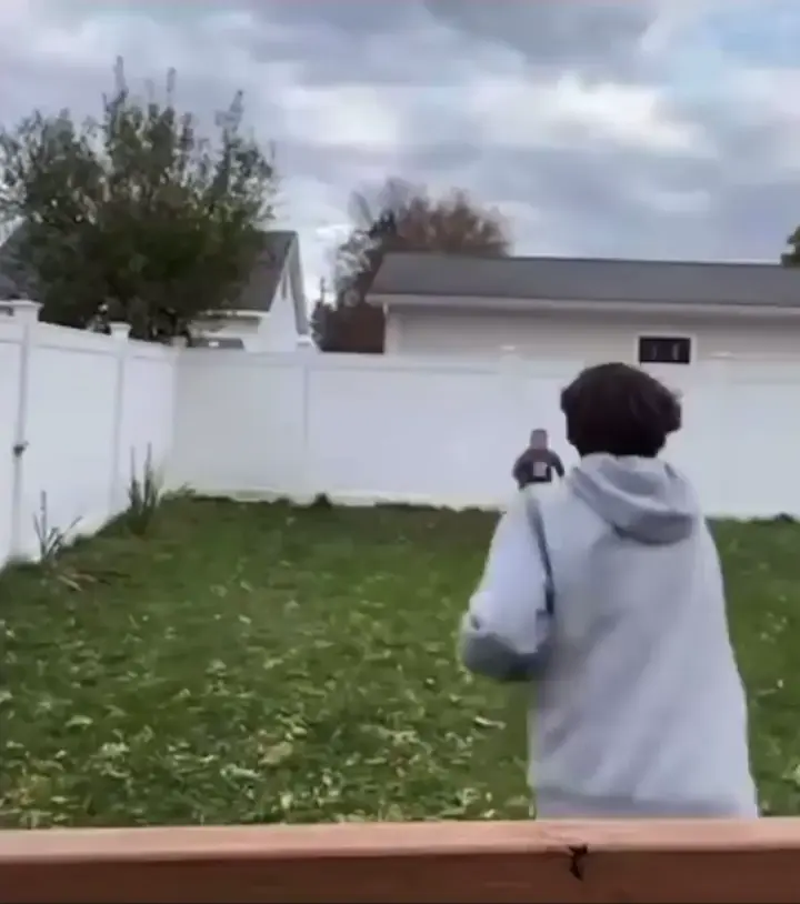 Discover more like Funny: Ahh sibling rivalry and Related Content ...