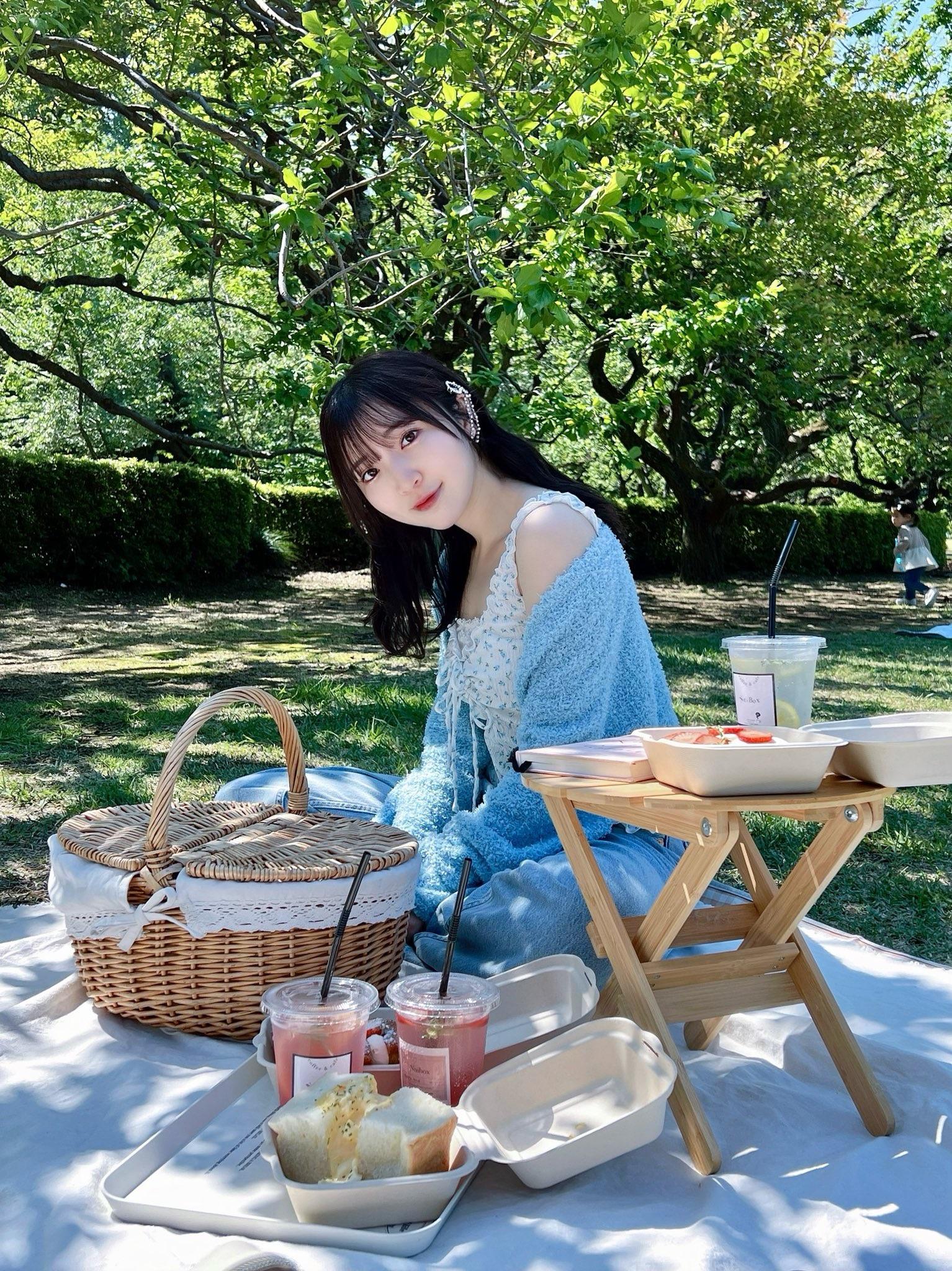 Picnic with Toyota Moe | Scrolller