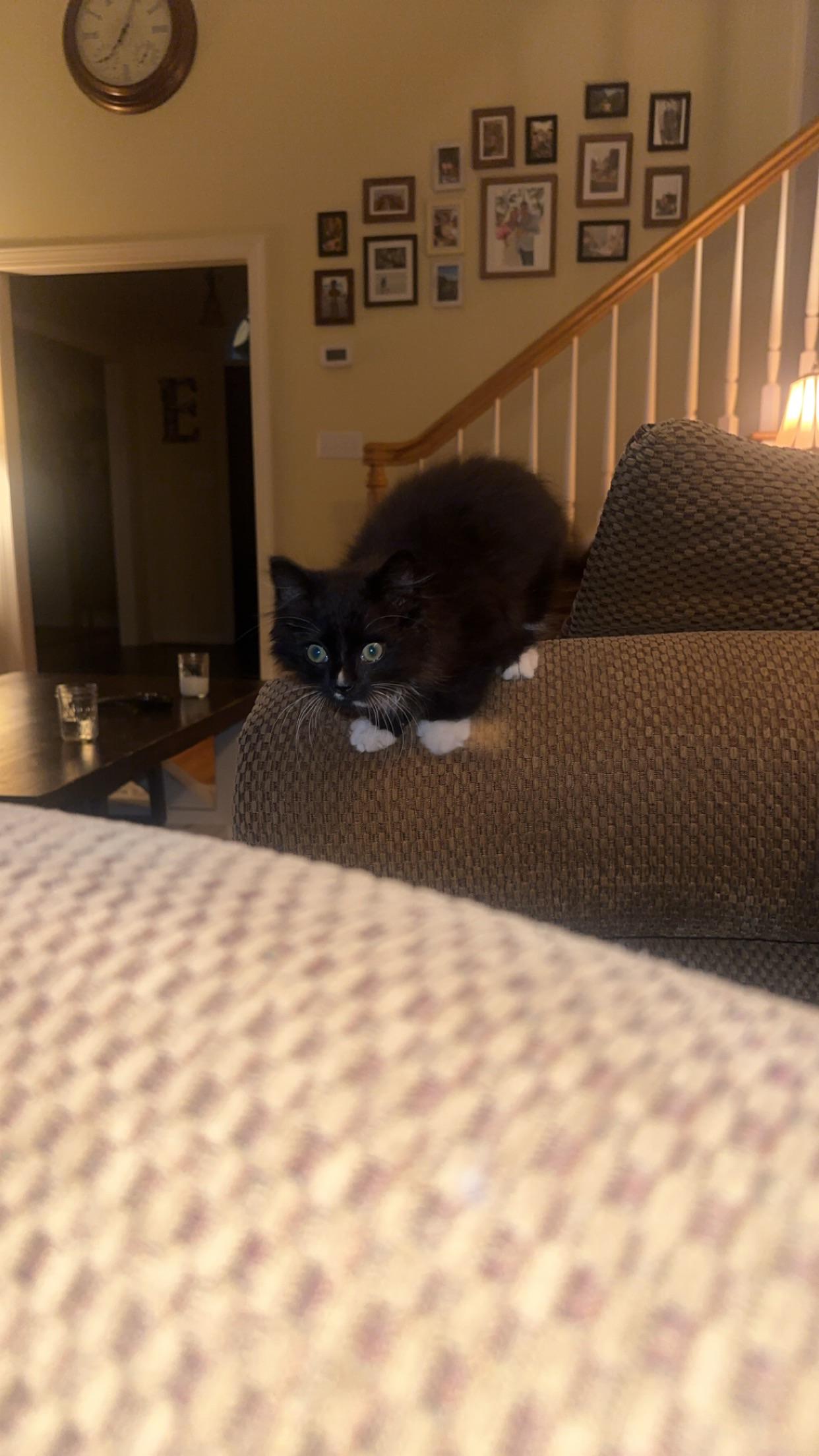 Alien baby | Scrolller