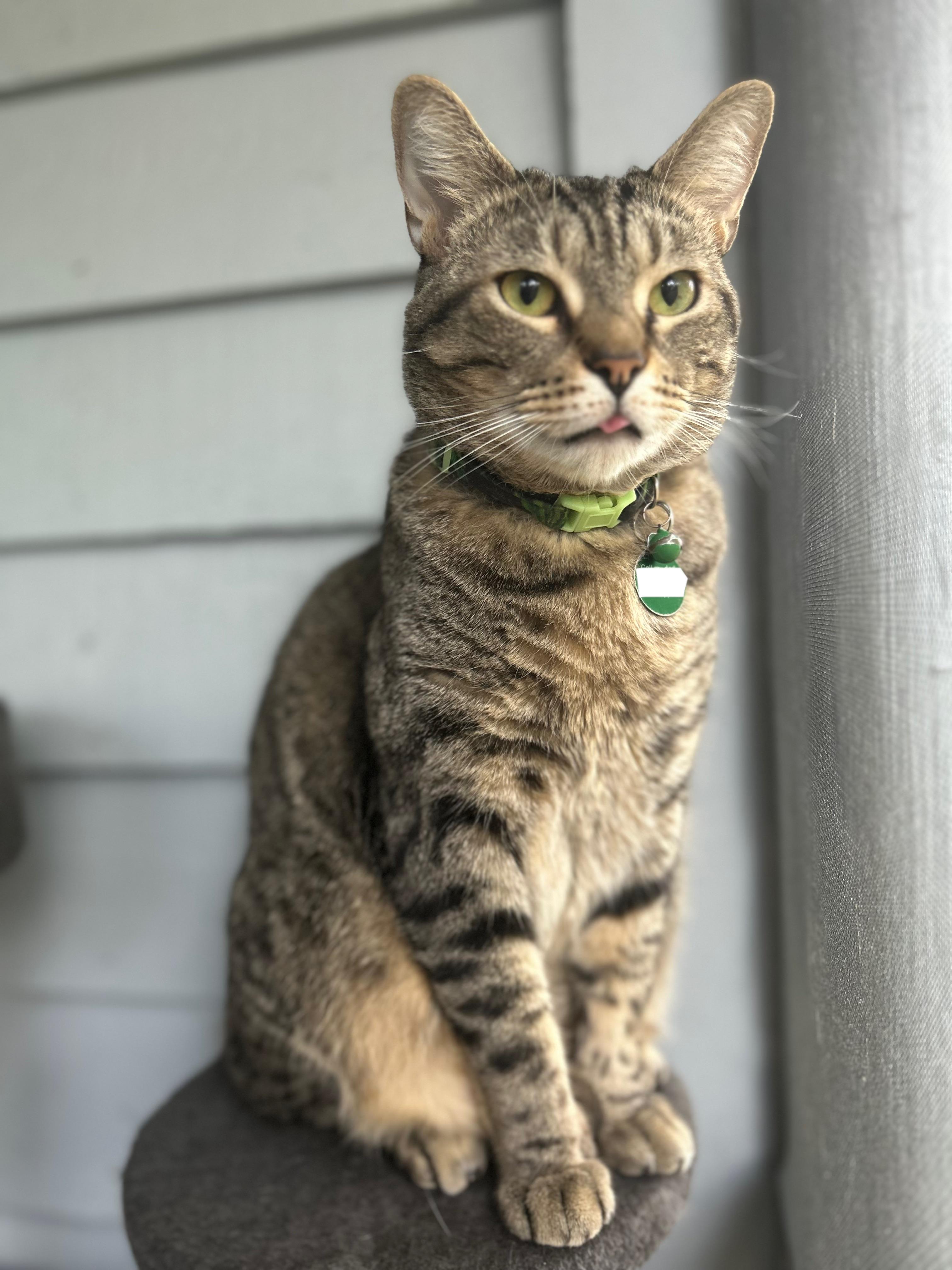 Meet my SIC Kush! | Scrolller