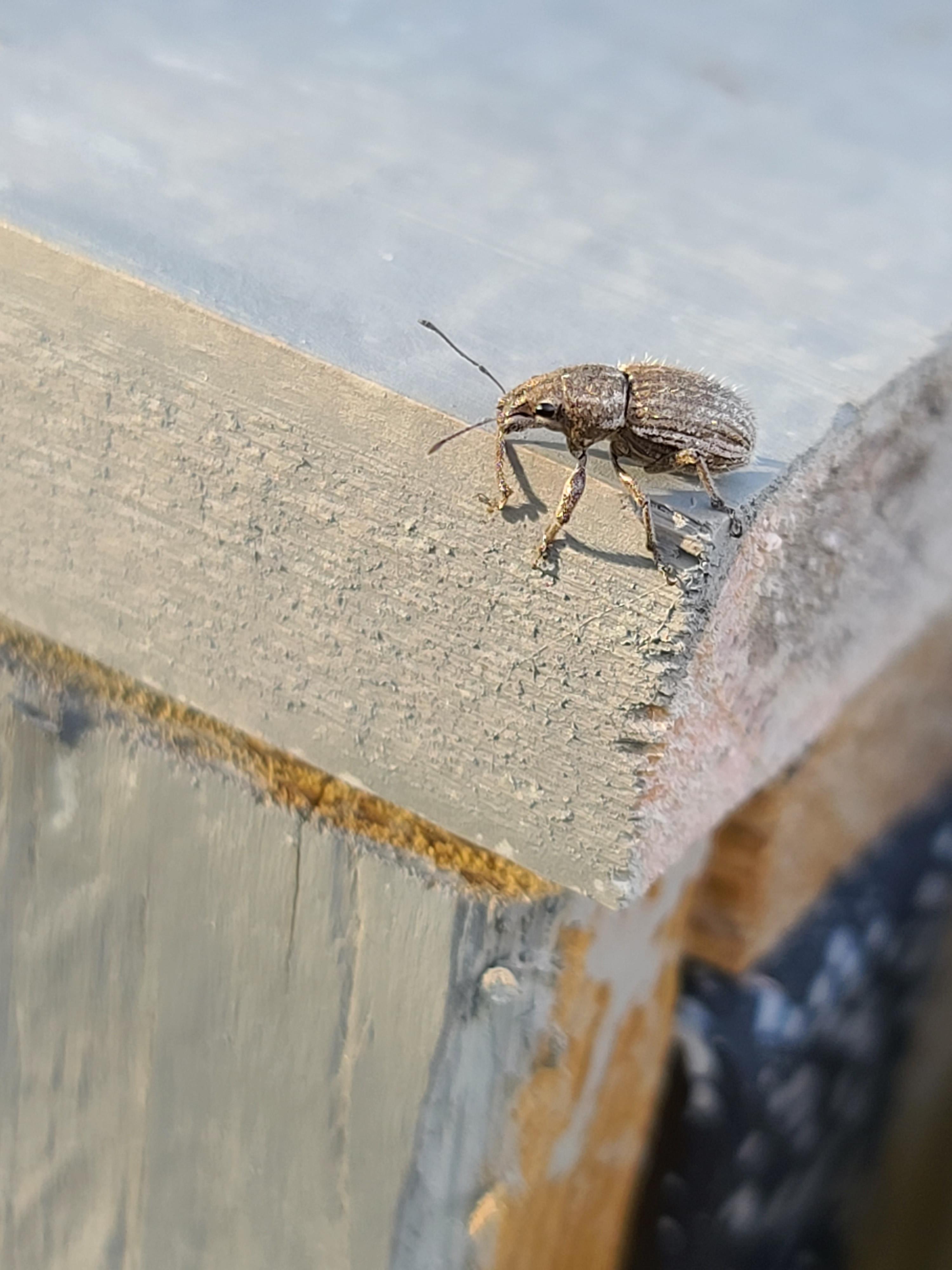 Who is this fella | Scrolller