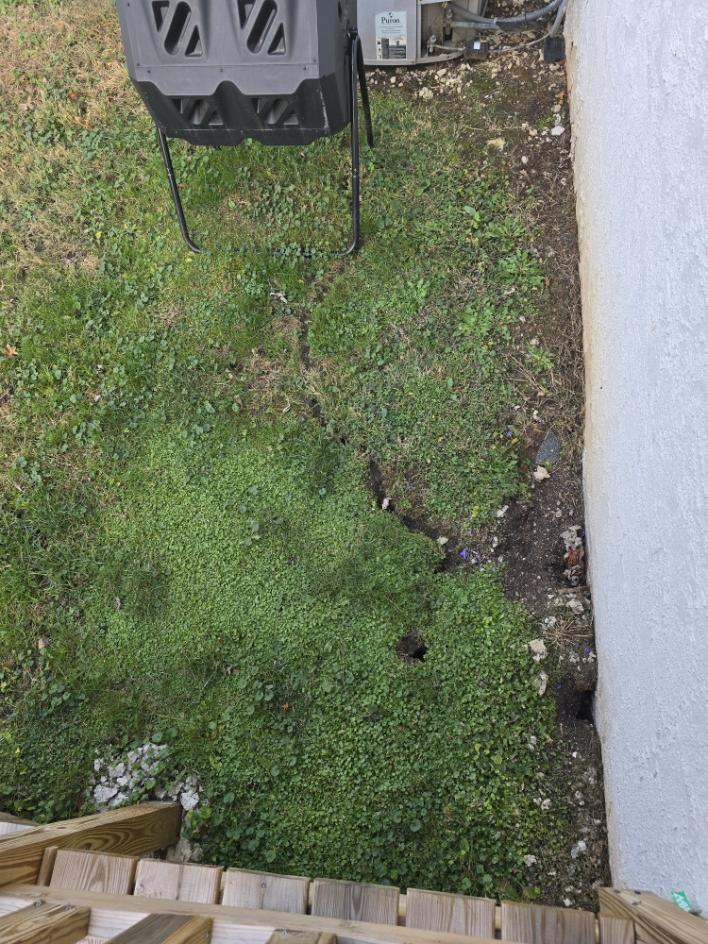 Mysterious tiny trails showing up in the back of my yard | Scrolller