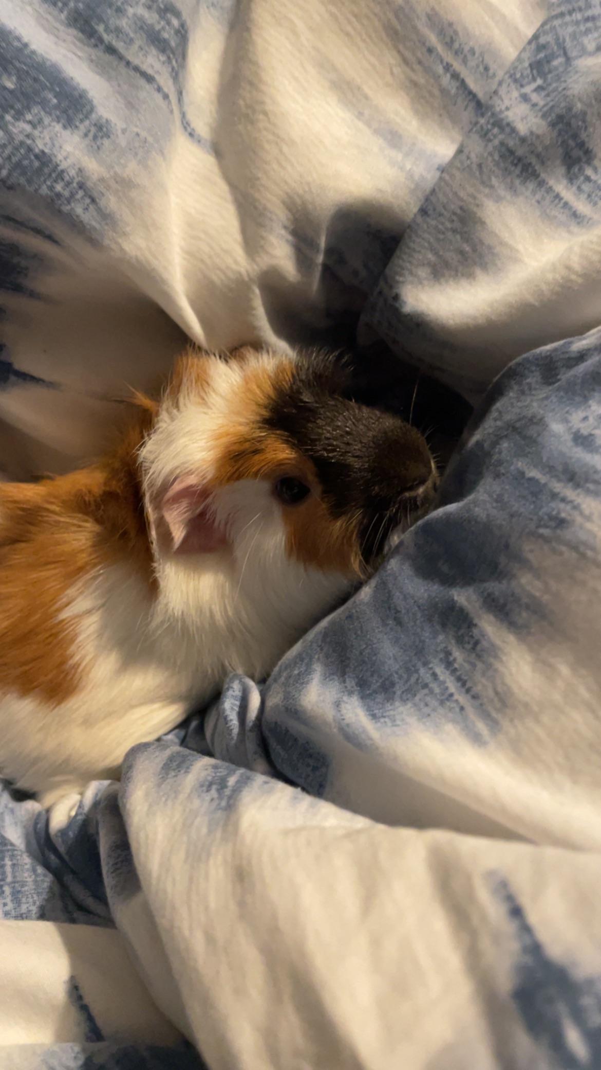 Saul Goodman🔥 | Scrolller