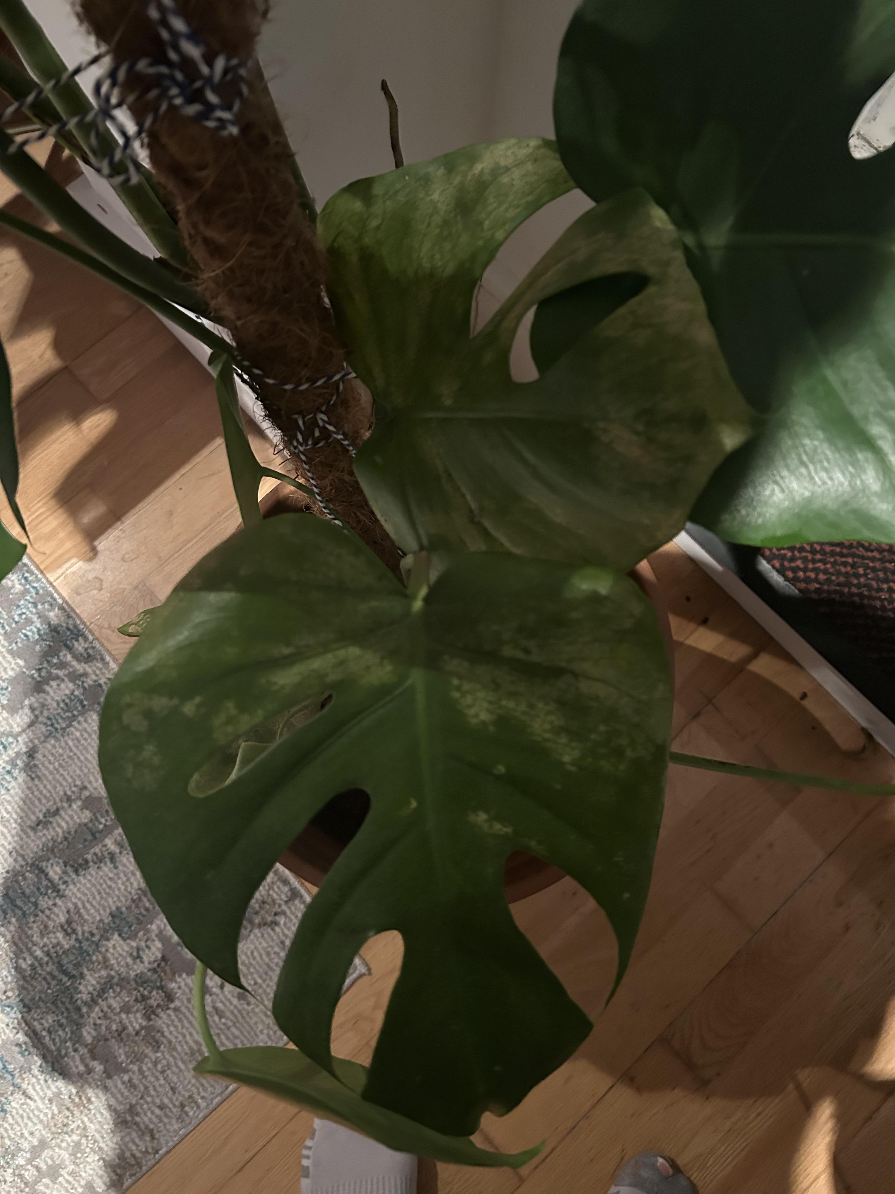 Any idea what’s wrong? | Scrolller