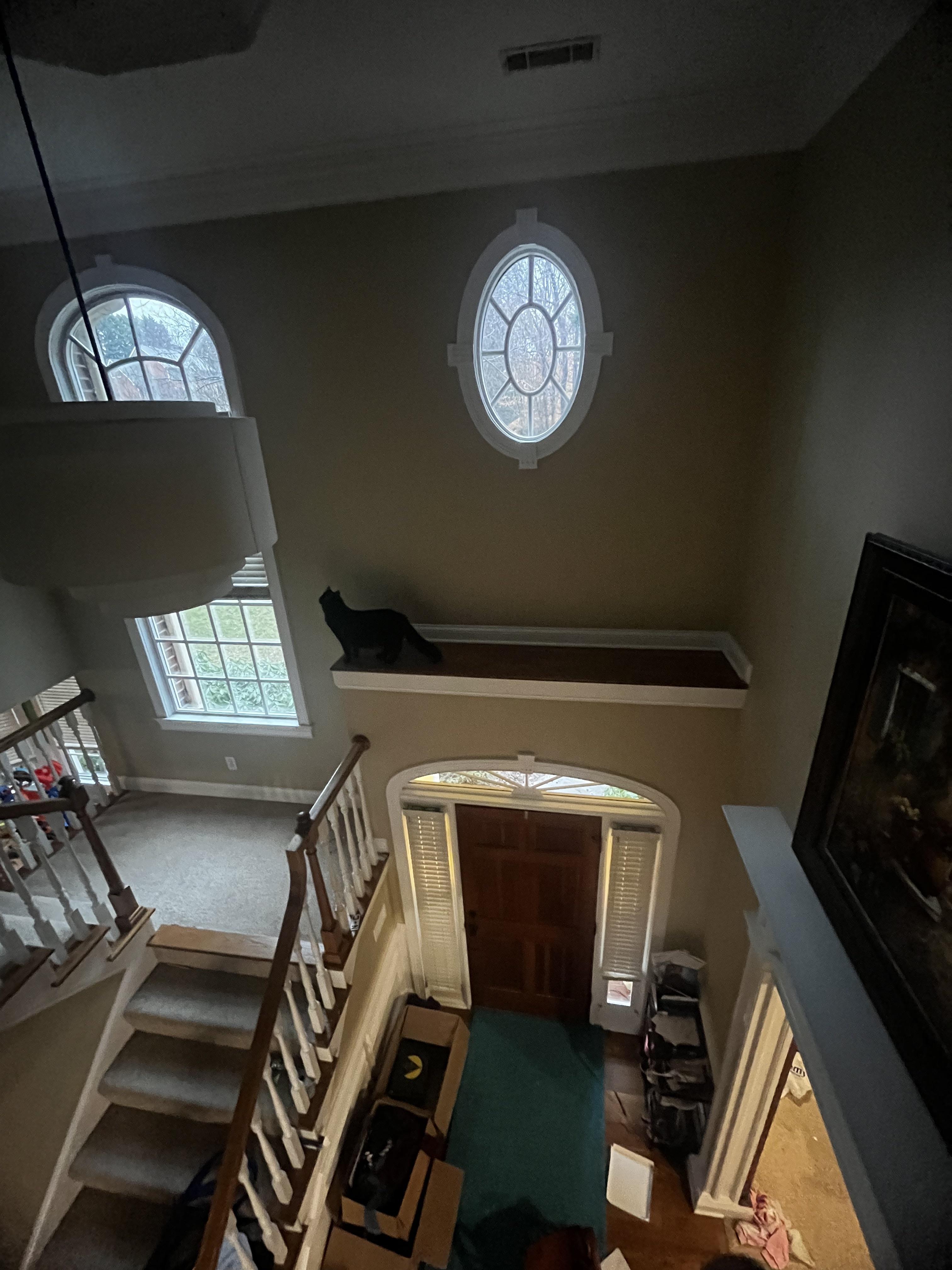 Adventure void | Scrolller