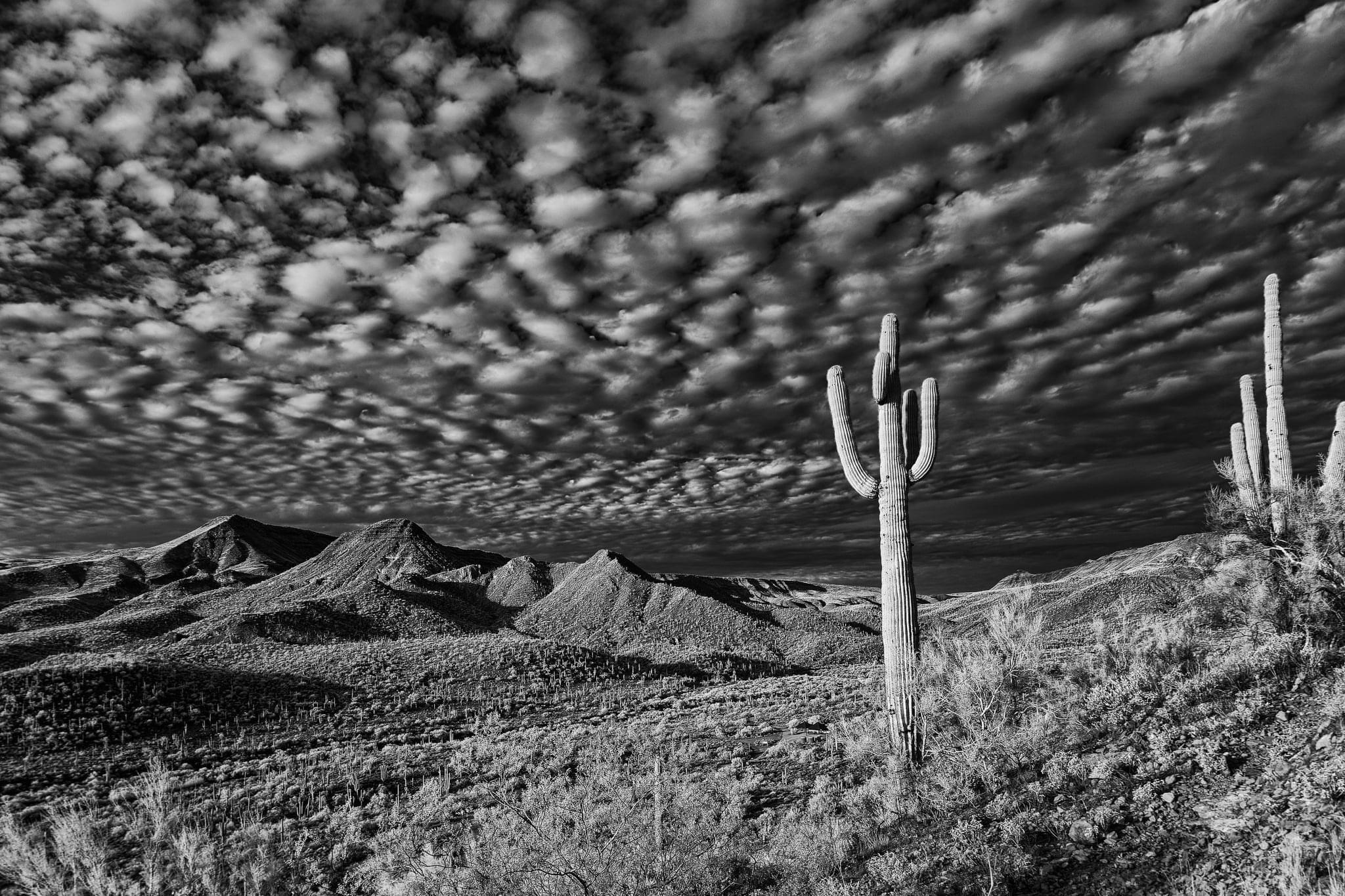 Arizona Skies - Spur Cross Ranch | Scrolller