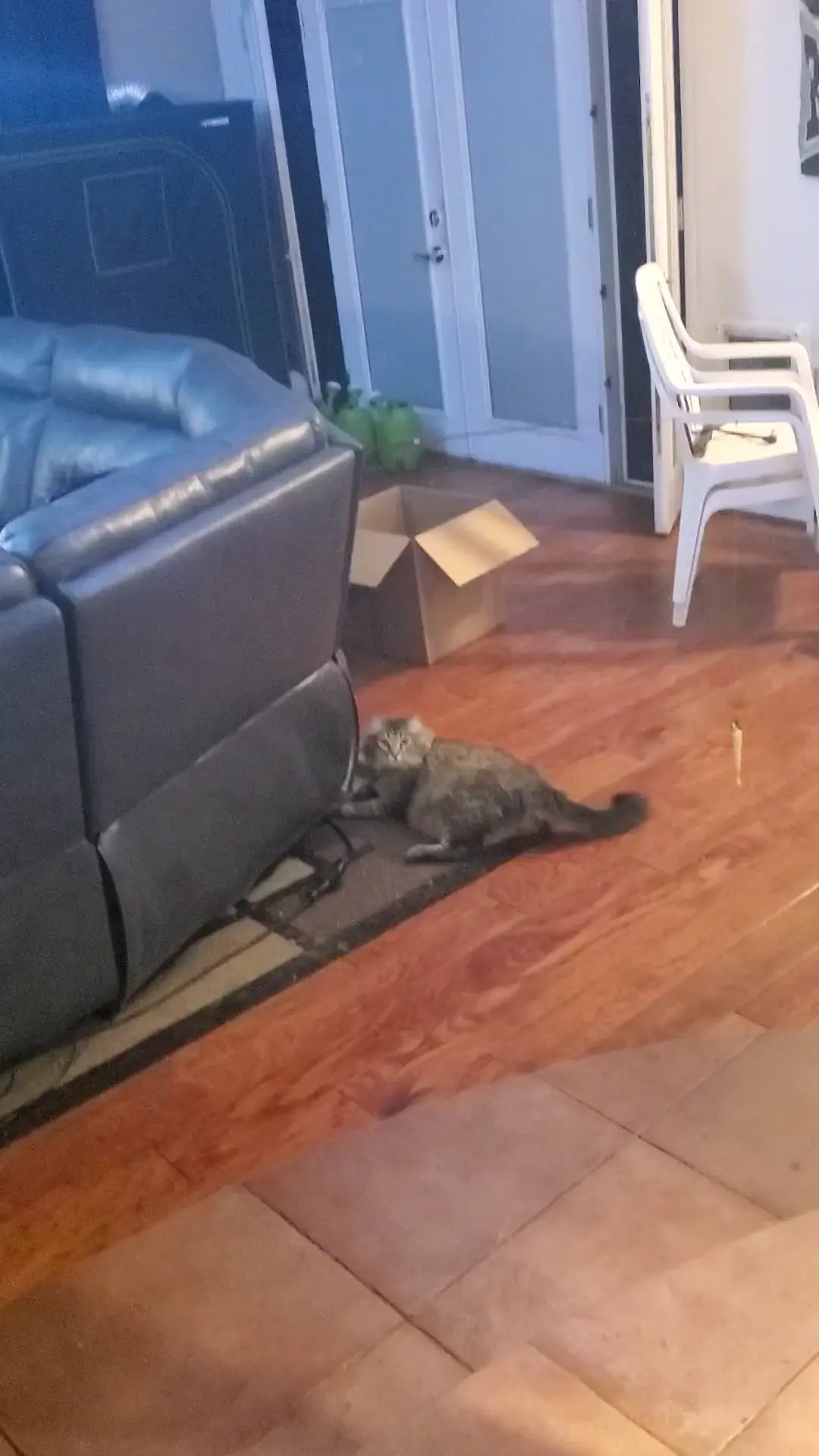 Artemis and Baby Spook | Scrolller