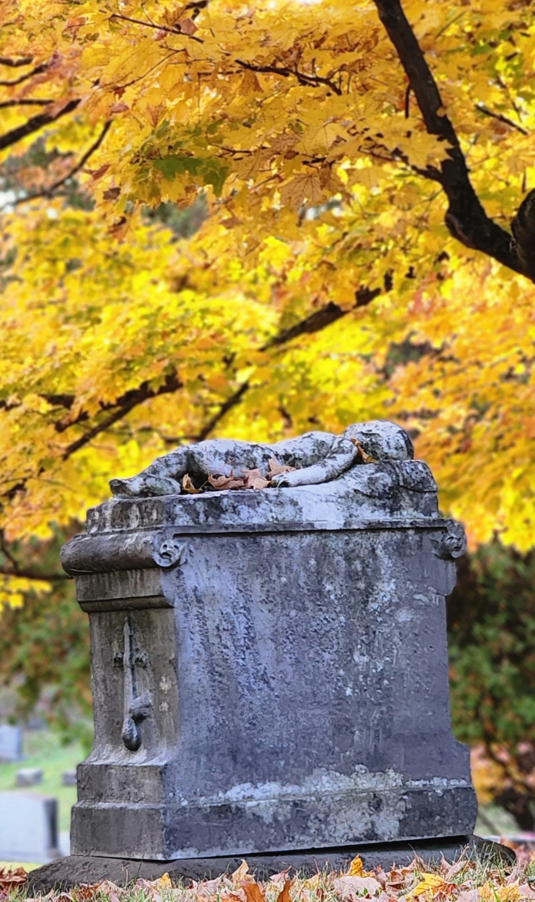 Asleep in the graveyard | Scrolller