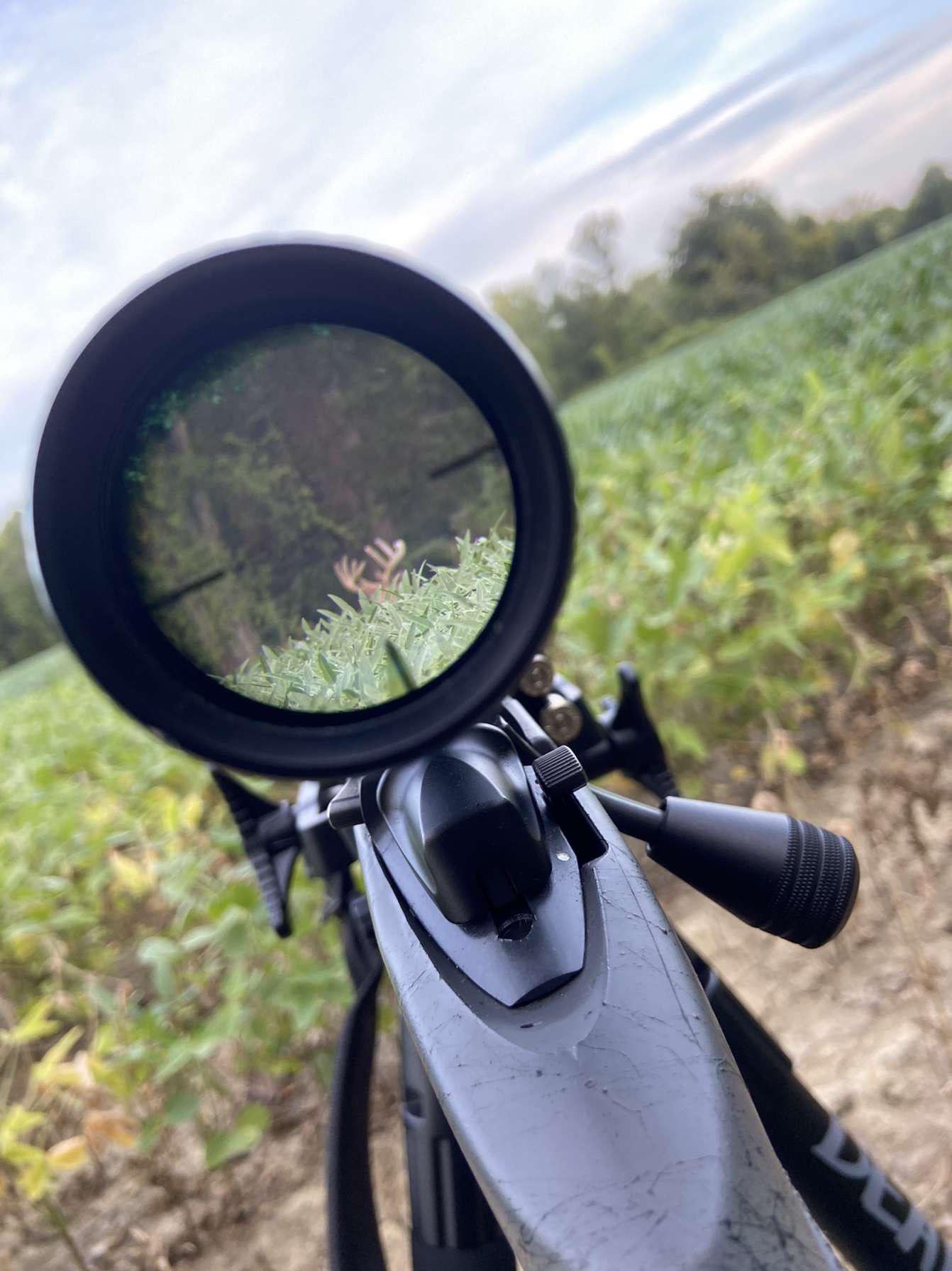 Scope pics? Scope pics. | Scrolller