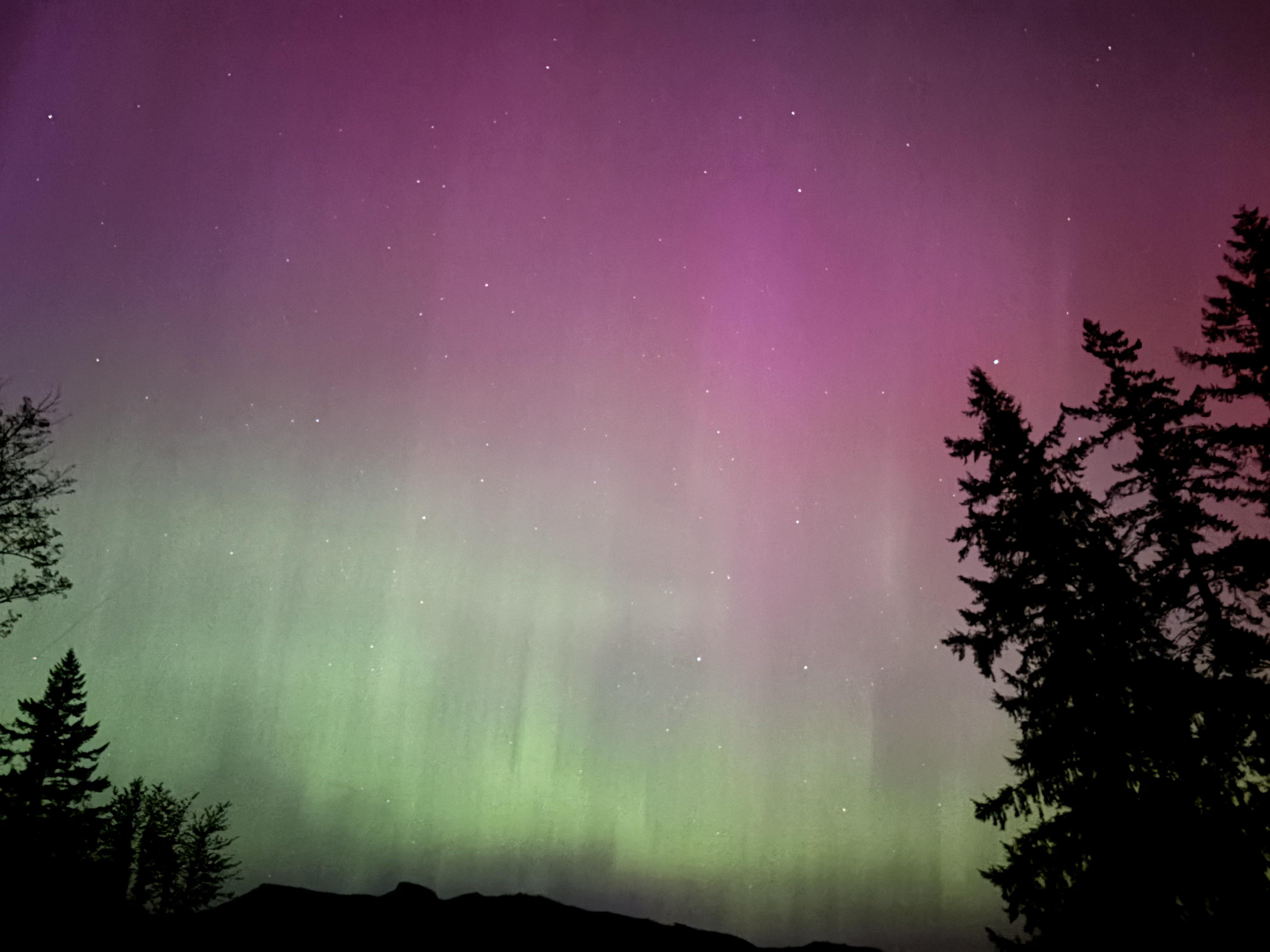 Aurora borealis in my front yard | Scrolller