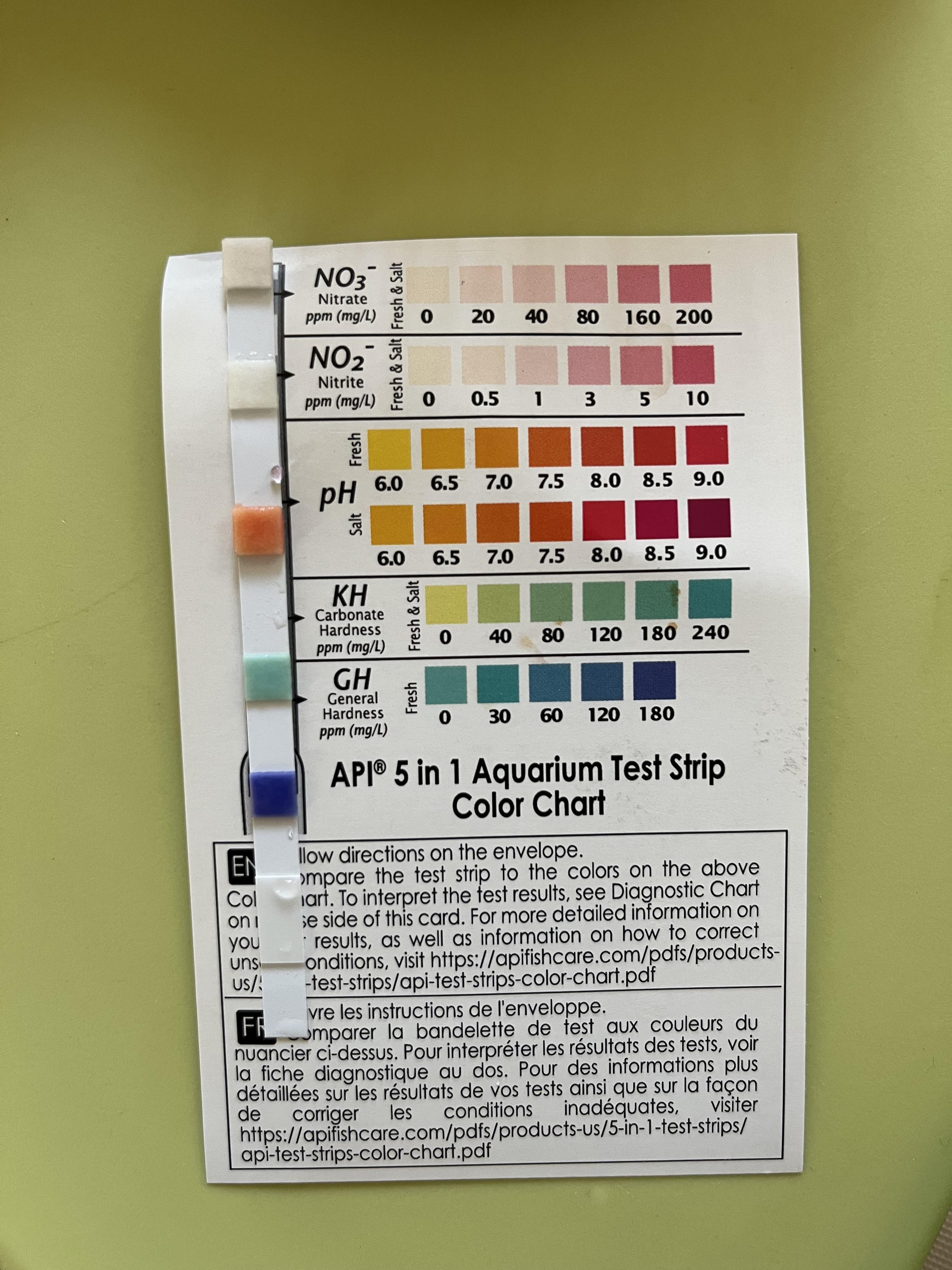 Fun Rot and Swim Bladder disease? | Scrolller