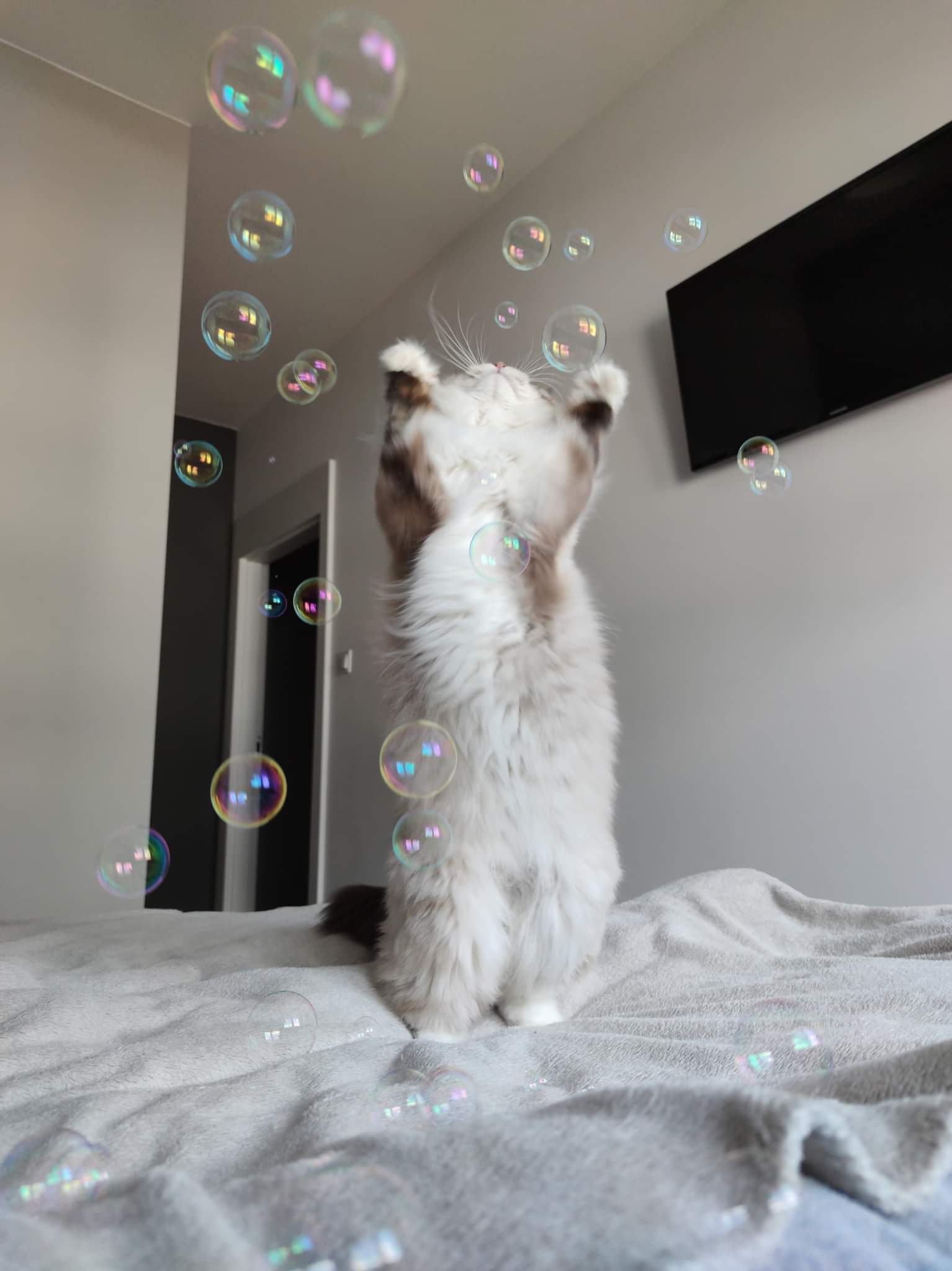 Long fluff | Scrolller