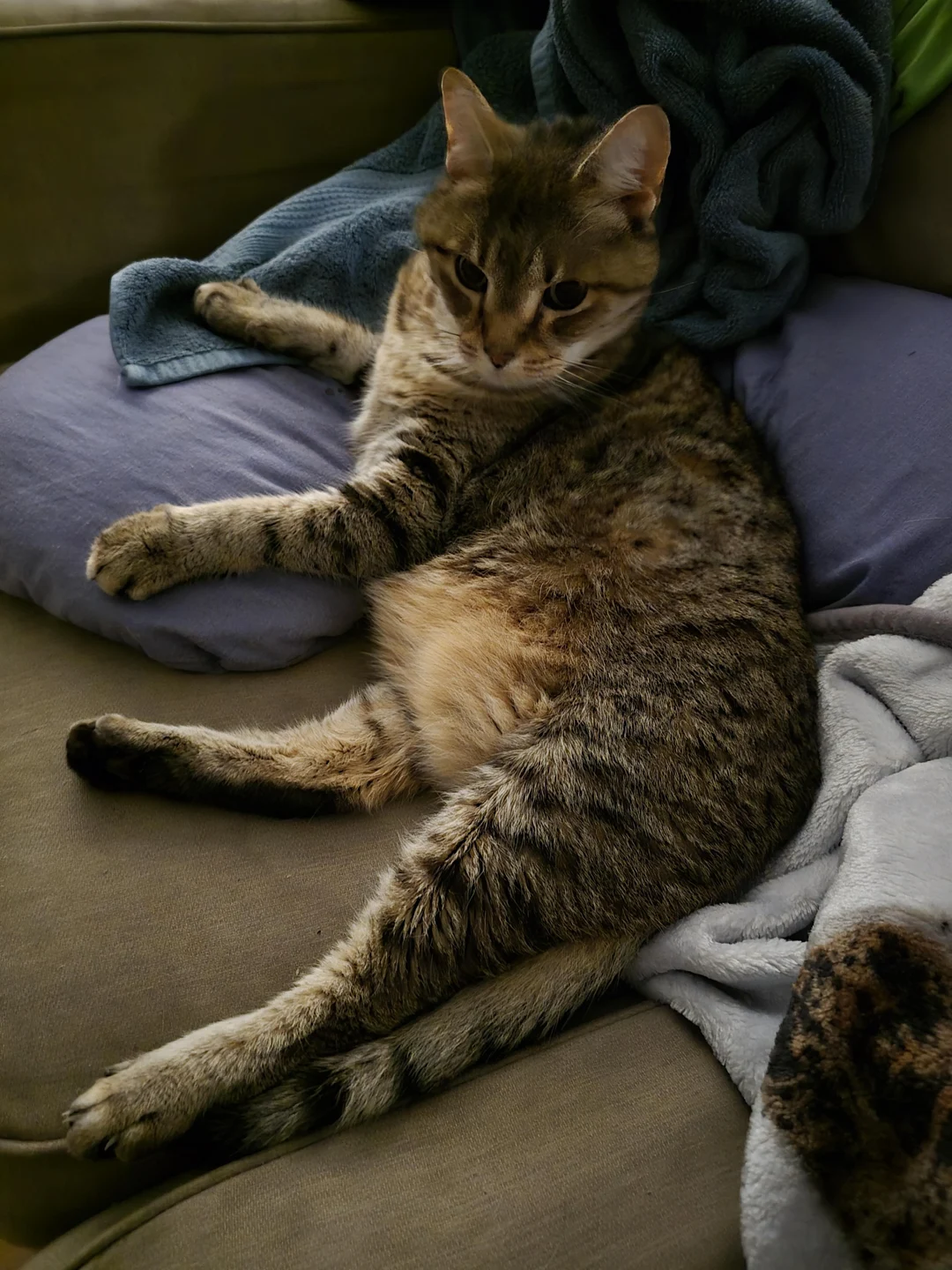 Oh Lawd he showing belly | Scrolller