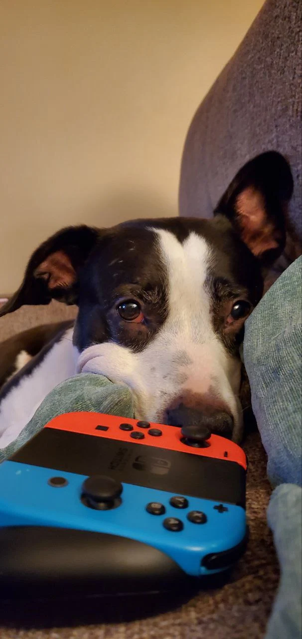 I don't understand how he finds this comfortable | Scrolller