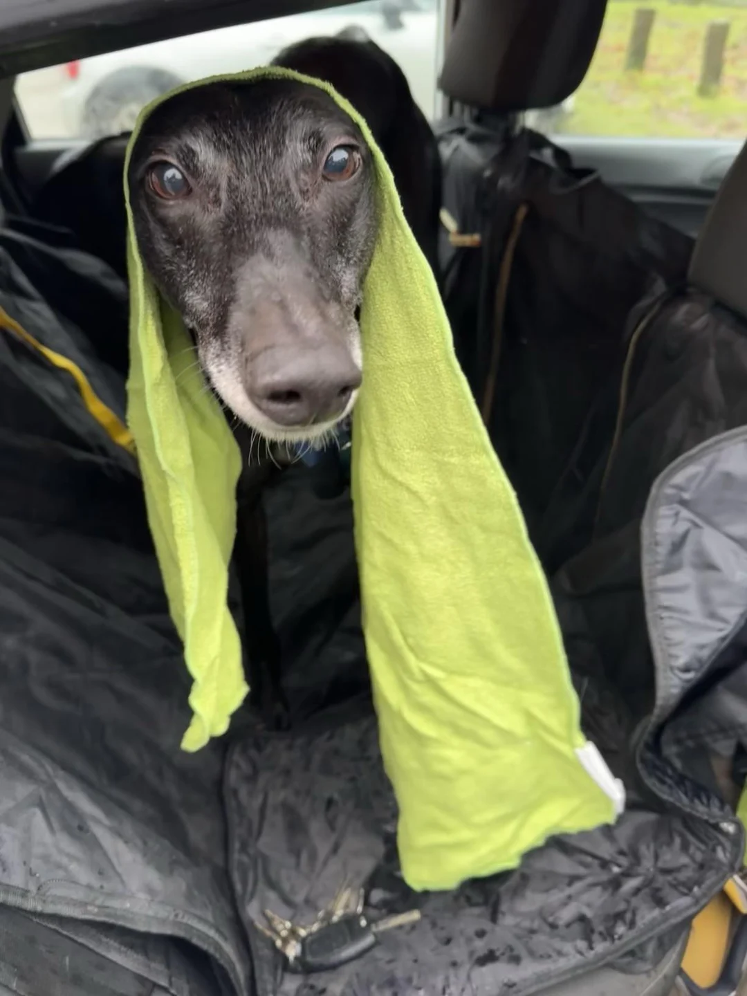 Baz looking fabulous | Scrolller