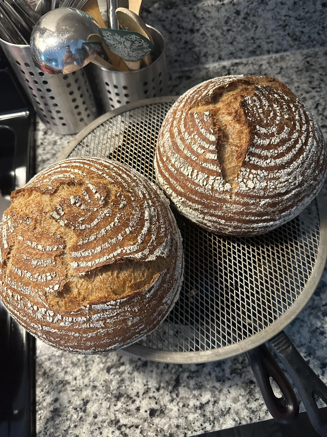 40% Whole Wheat Set | Scrolller