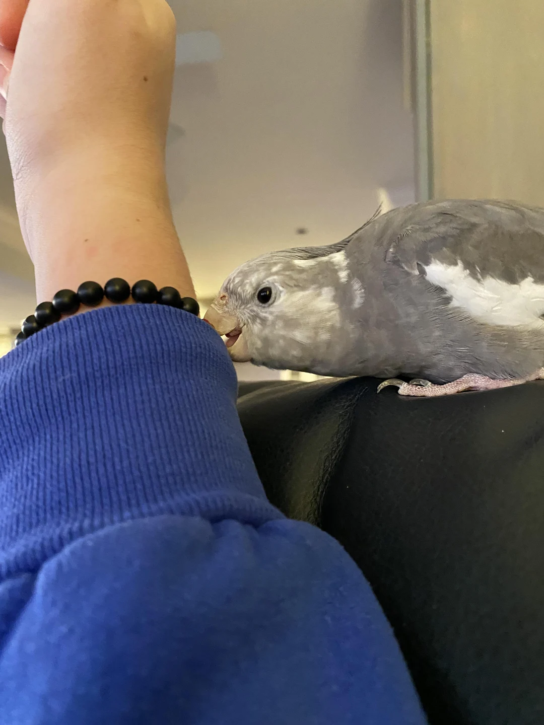 Wild beast attacks 14 year old | Scrolller