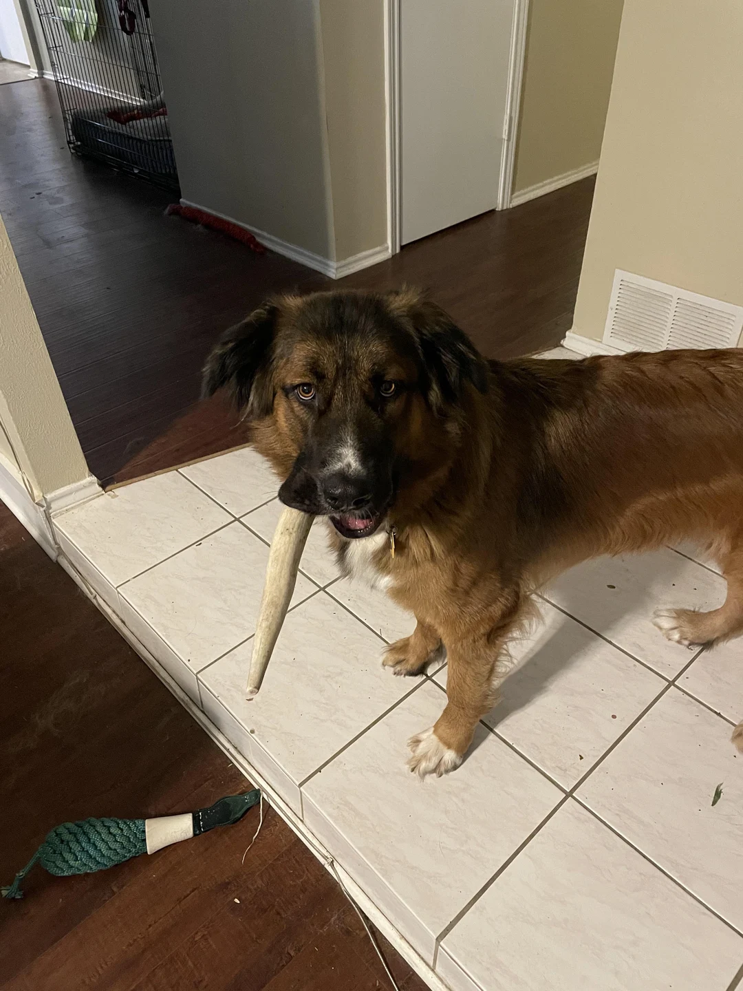 Is there something in my teeth? | Scrolller