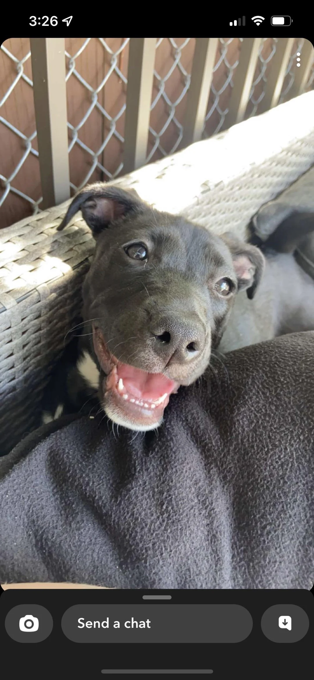 Look at her little teeth! | Scrolller