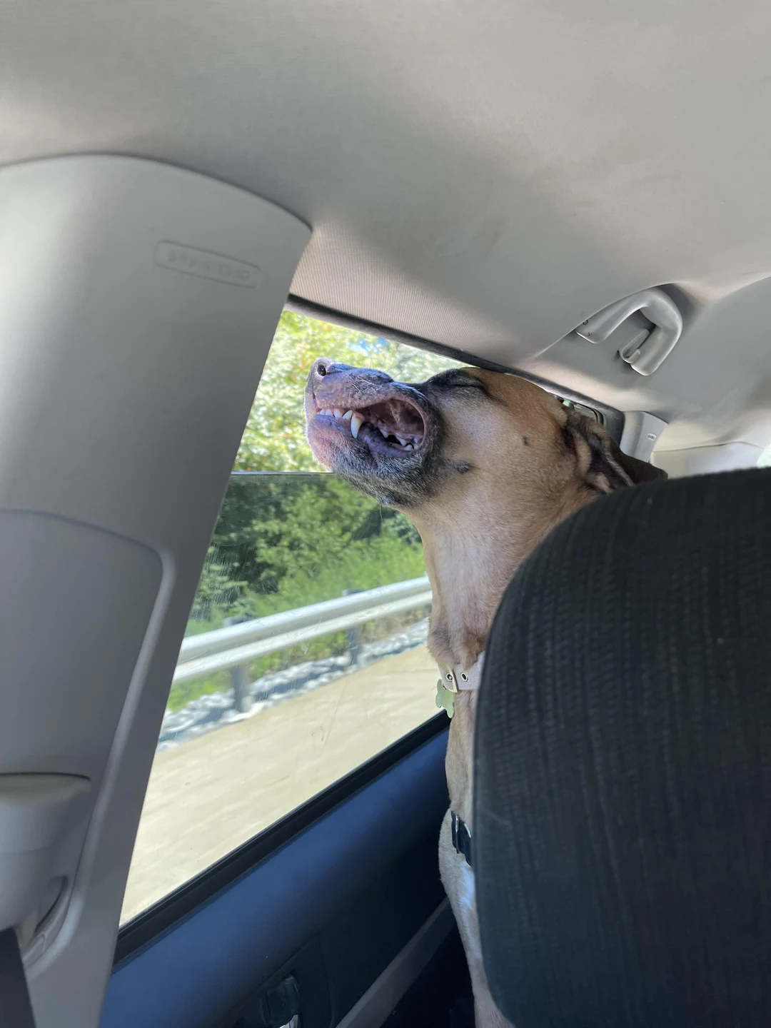 Window derp | Scrolller