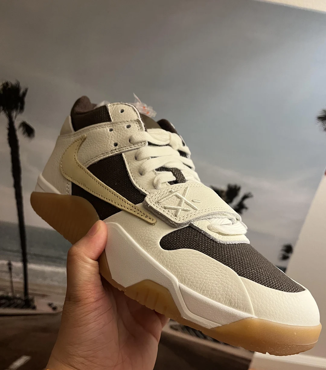 Cactus jack | Scrolller