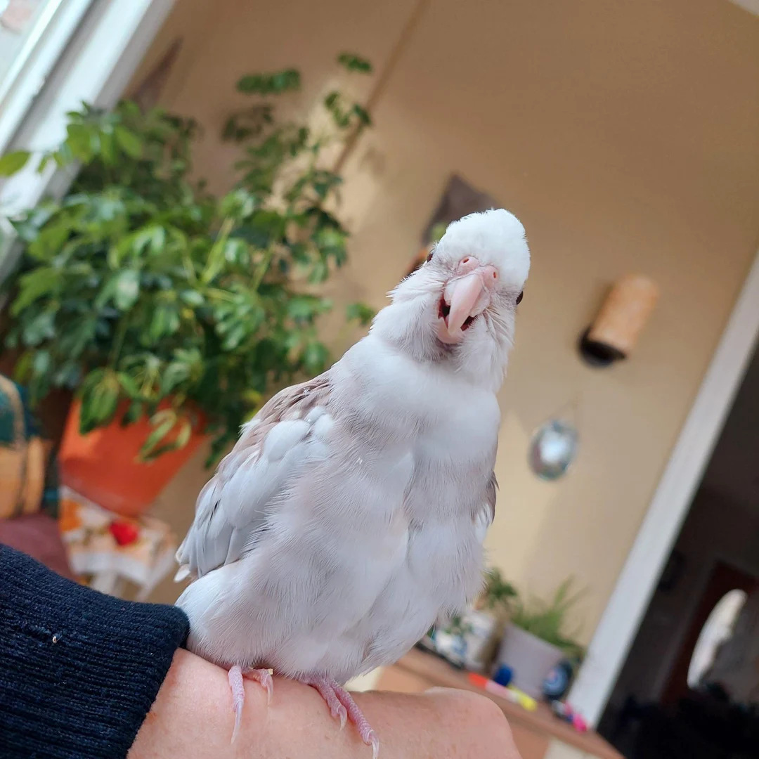 Look at this absolute unit. | Scrolller