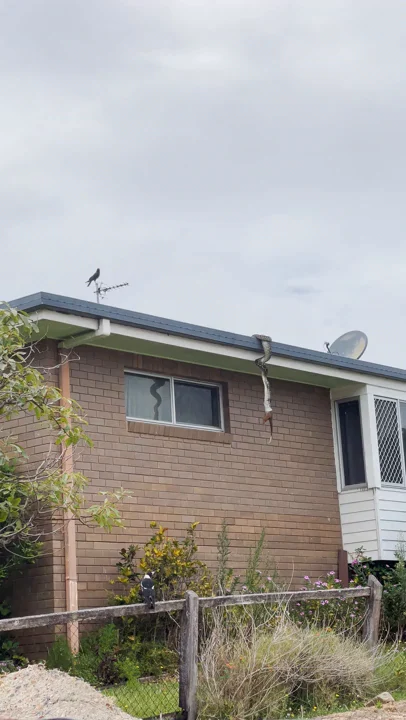 What is proper etiquette? | Scrolller