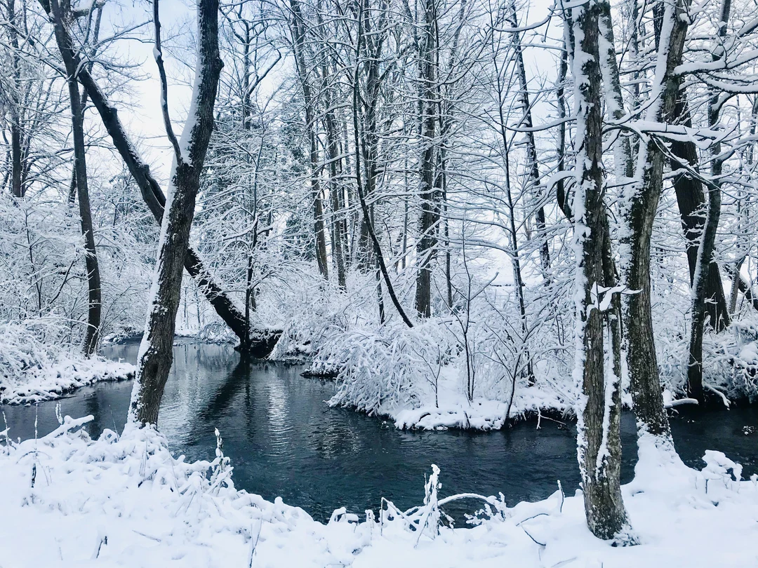 My favorite part of my Virginia farm | Scrolller