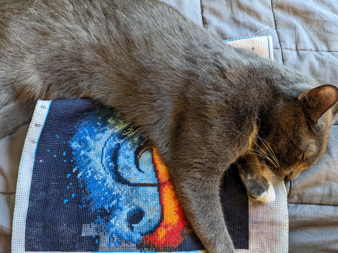 Cross-stitch cat trap | Scrolller