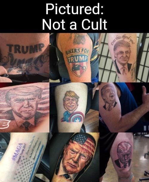 Totally normal behavior | Scrolller