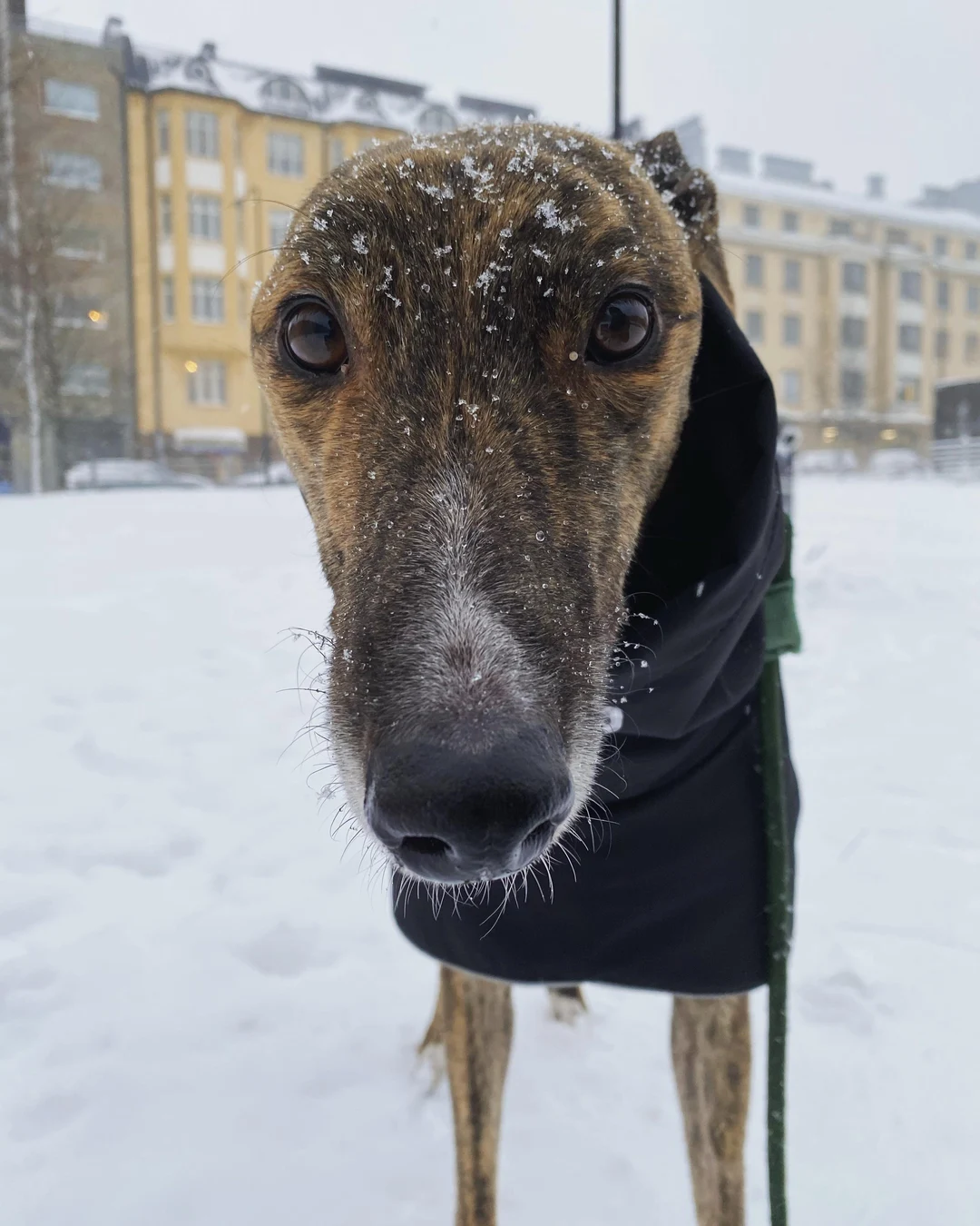 Talk about poo! | Scrolller