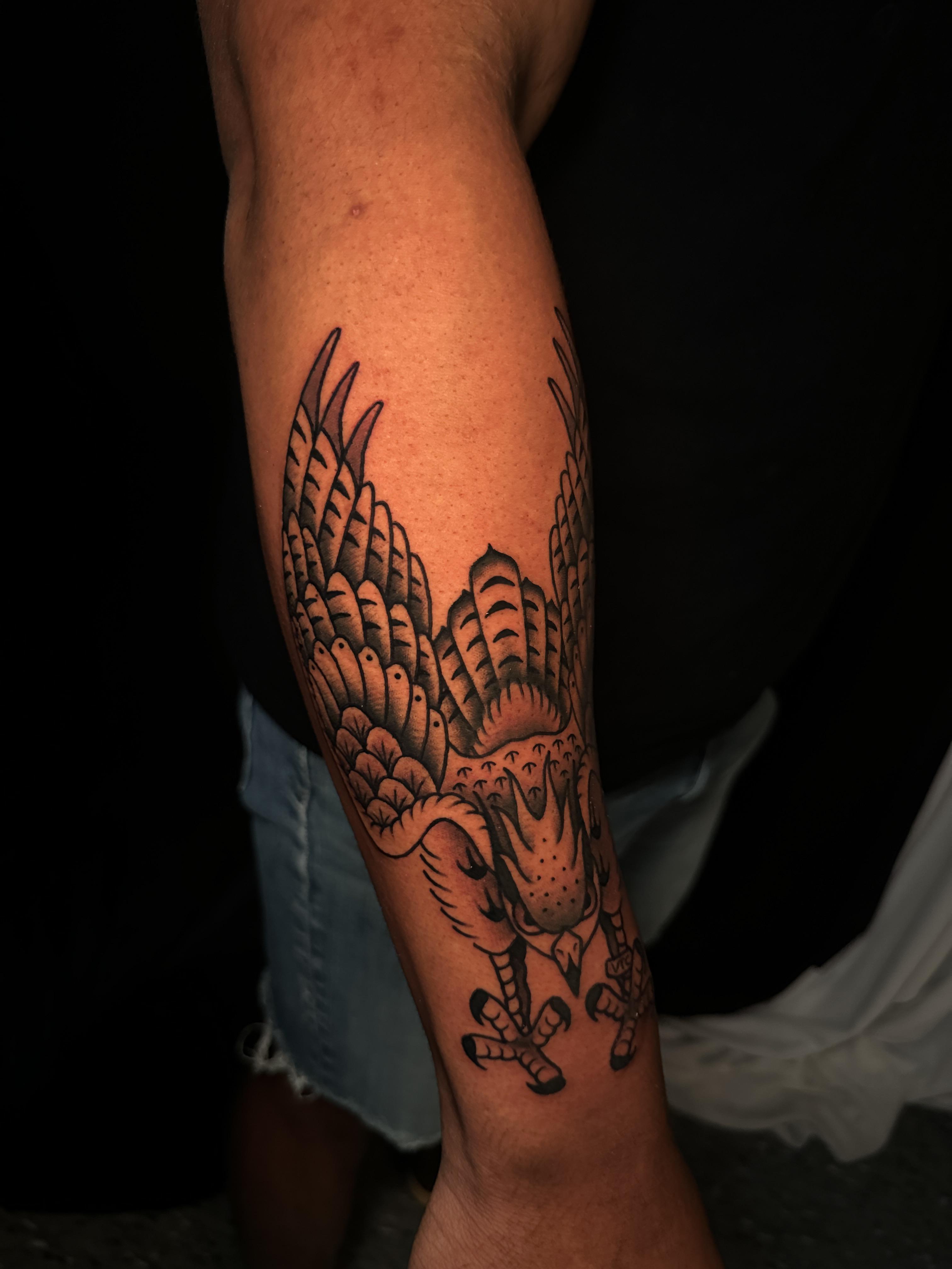 Diving Osprey | Scrolller