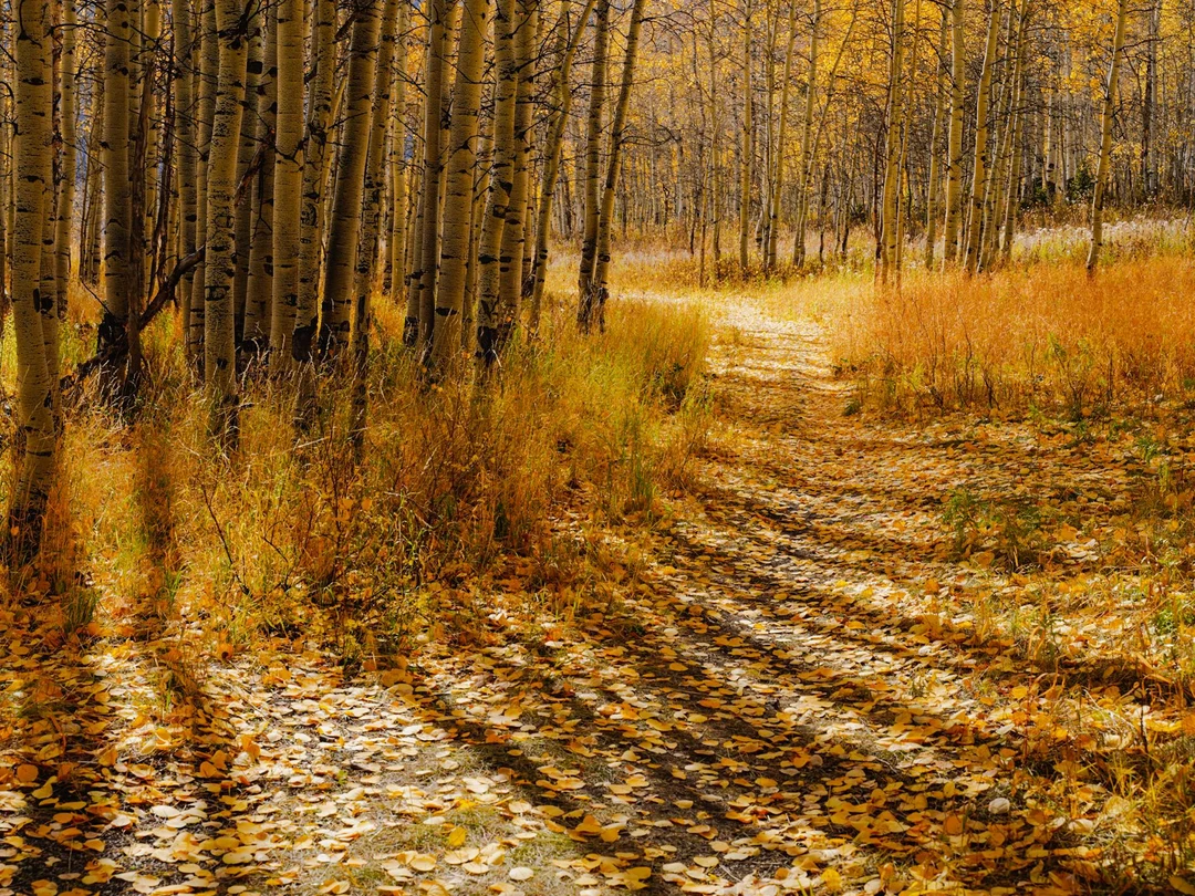 Aspen Falls, Me, Photo, 2022 | Scrolller