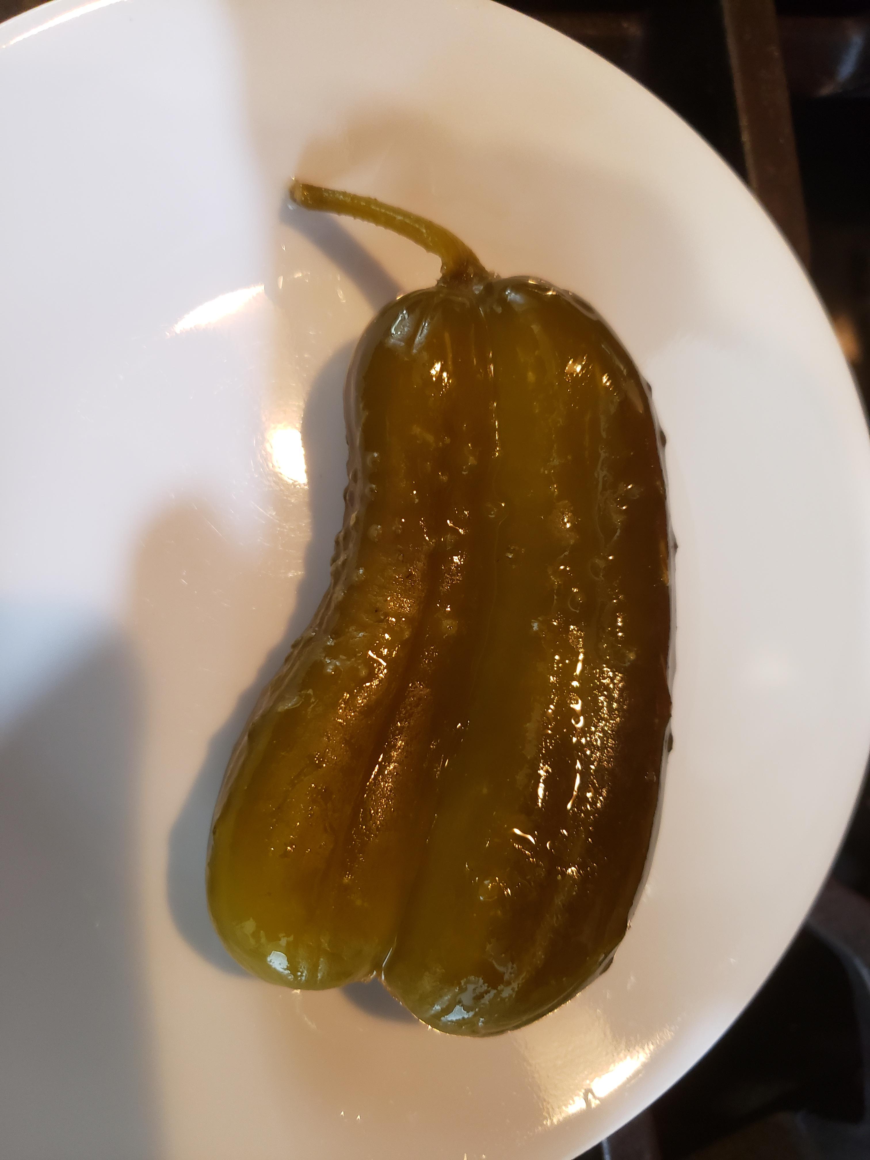 Conjoined pickles, pulled from the jar, inseparable. | Scrolller