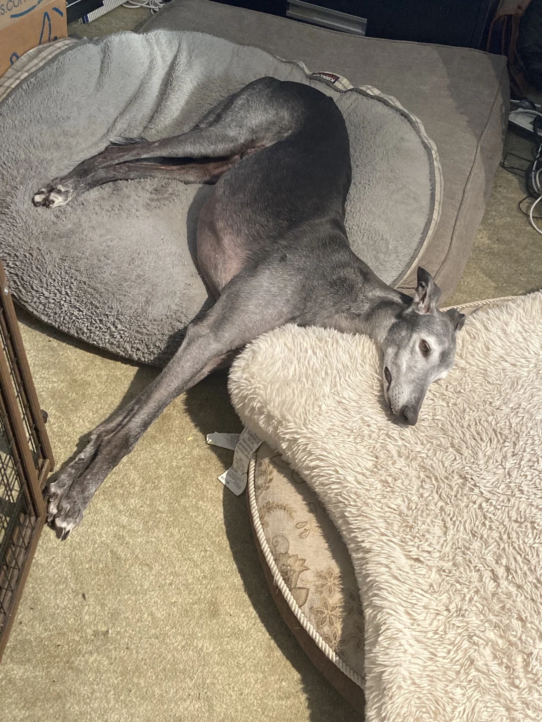 Does this count as bed fail? | Scrolller