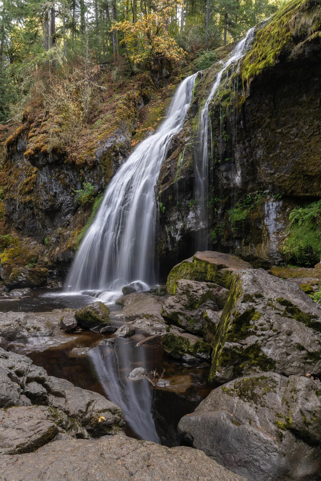 So happy the rain is back - Washington State [OC] [2000x3000] | Scrolller