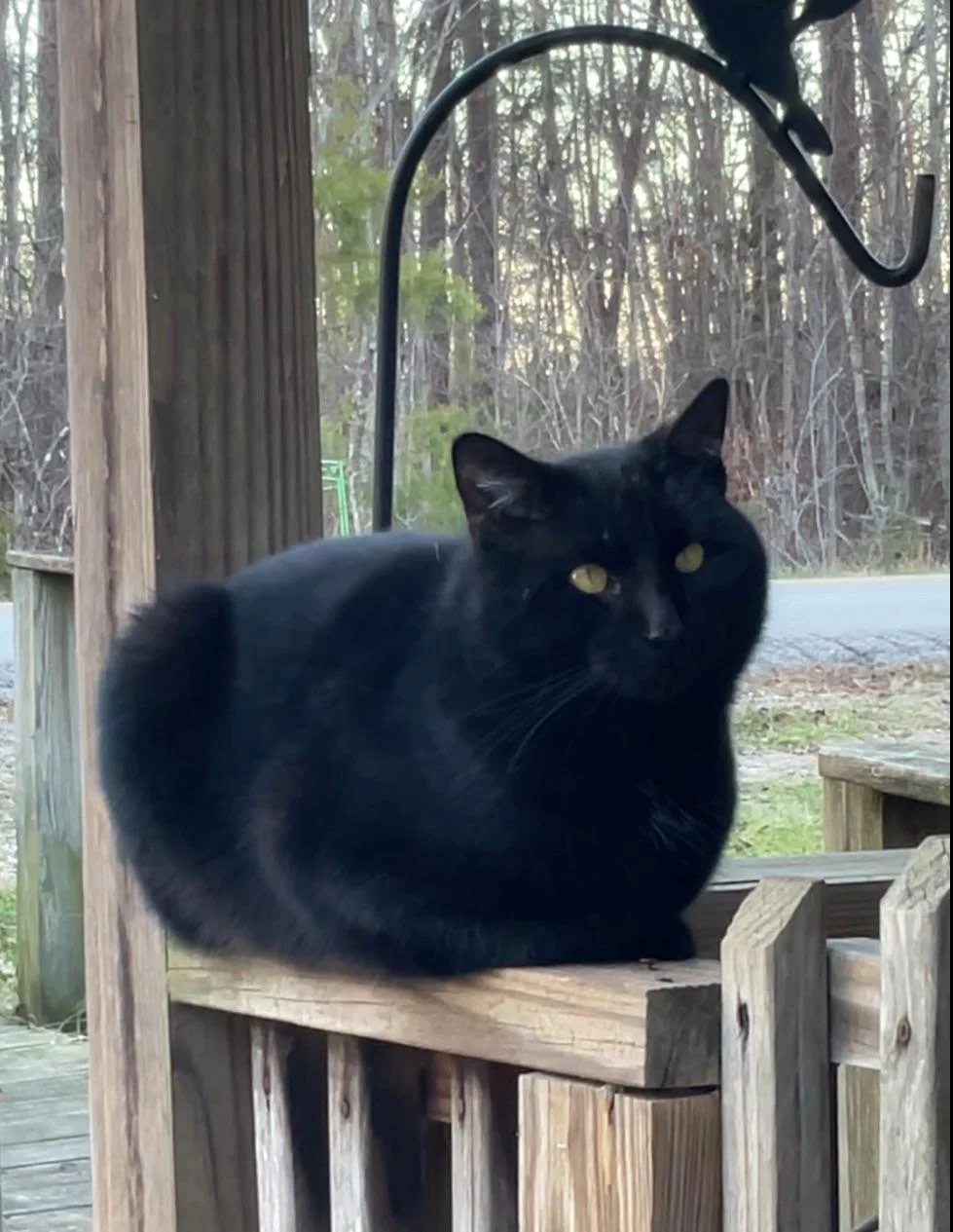 Burnt Derp Loaf | Scrolller