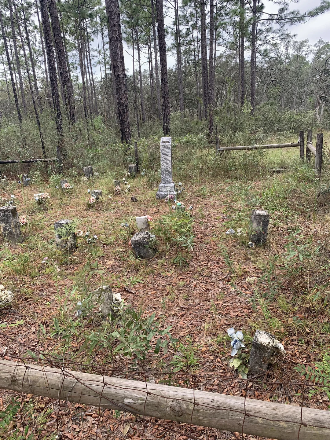 A forgotten cemetery deep in the Florida pines | Scrolller