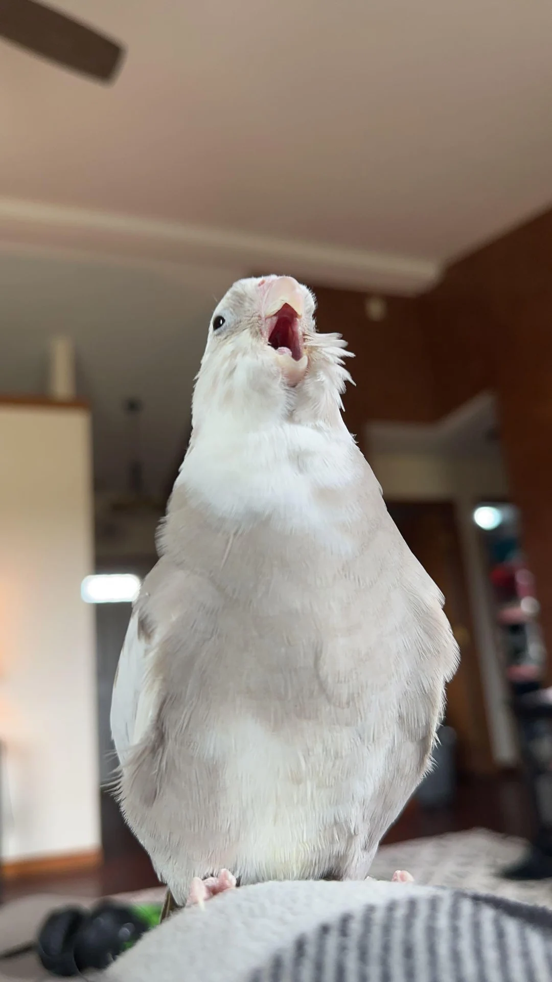 Can’t decide if she looks pear or bowling pin shaped 🤔 | Scrolller