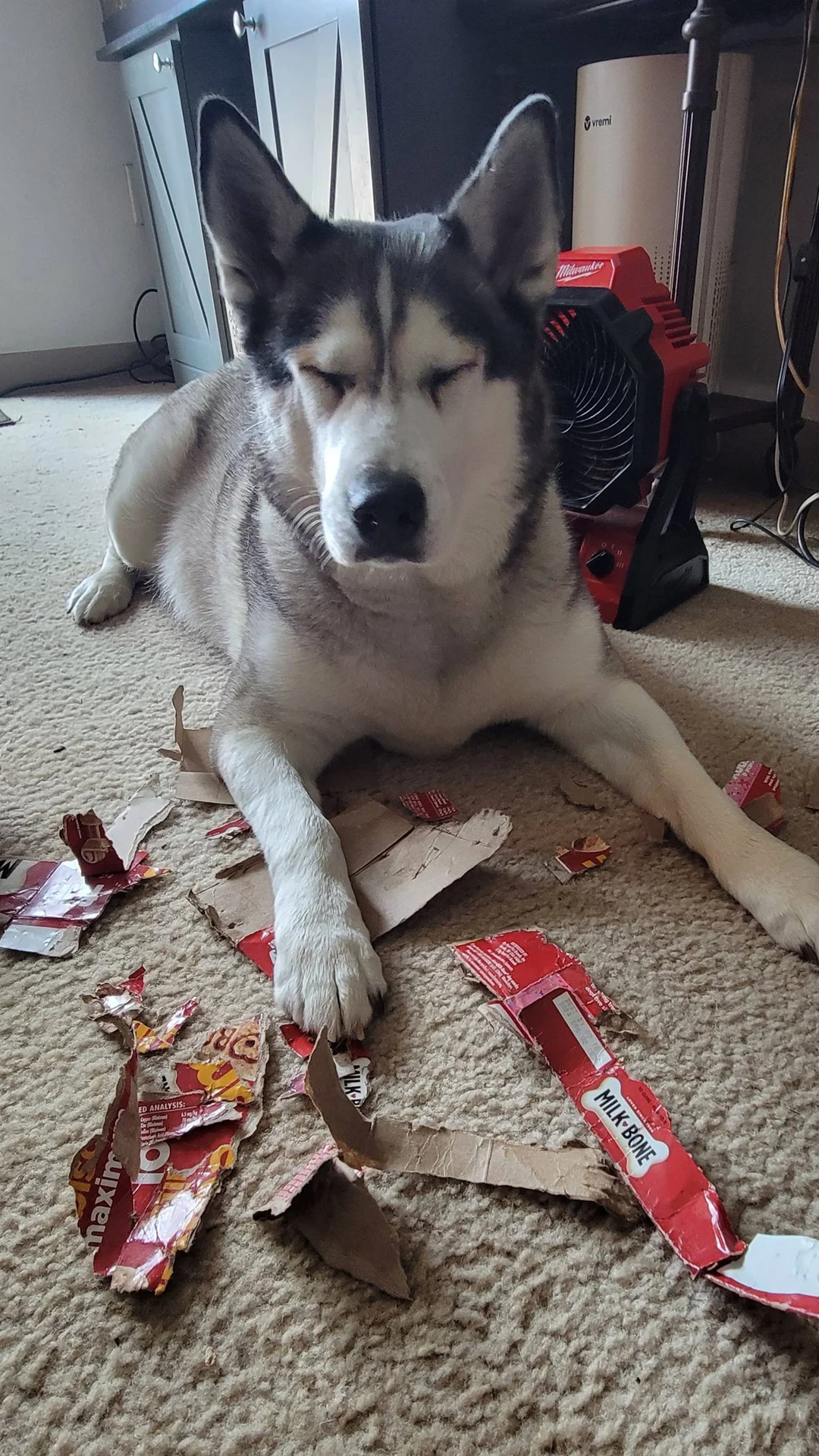 There was only 1 left. Defeated. | Scrolller